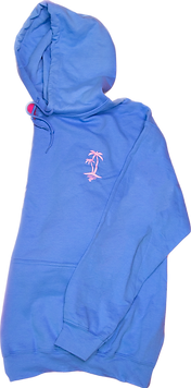 Baya Bar - An Açaí Shop: Smoothie & Juice Bar